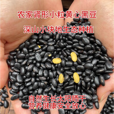 农村土货肾形黄心黑豆小粒2斤老品种腰形深山不打药小块地种植