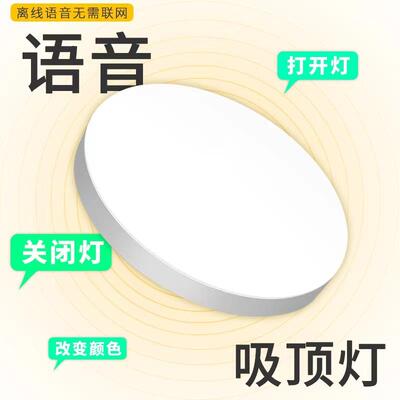 全光谱护眼LED智能语音无需连网声控遥控离线定时三防吸顶灯道