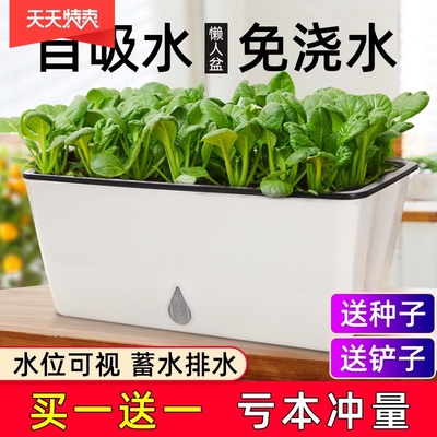 自动吸水花盆种菜神器家庭阳台长方形懒人花槽塑料种植箱蔬菜盆栽