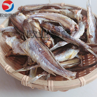 真空油炸小黄鱼 酥脆小黄鱼加工设备 VF-500现货 低温真空油炸机
