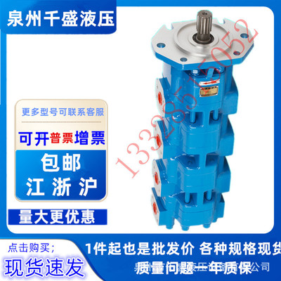 长江齿轮泵GPC4a-63-20-220R GPC4a-80-20-200R GPC4a-80-32-185R