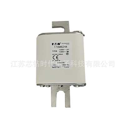 170M6244 170M6245 170M6246 巴斯曼BUSSMANN熔断器保险丝