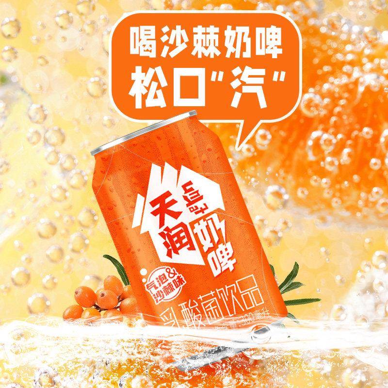 现货天润旗舰店新品沙棘奶啤乳酸菌饮品含乳饮料300ml*12罐整箱