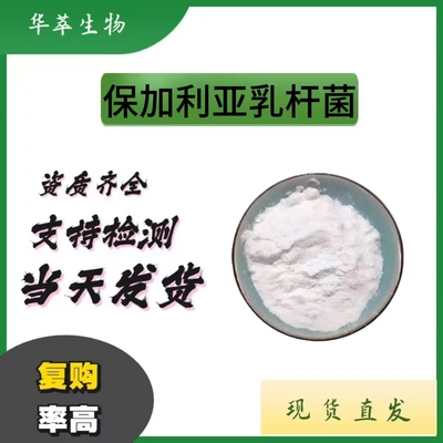 现货保加利亚乳杆菌冻干粉100亿