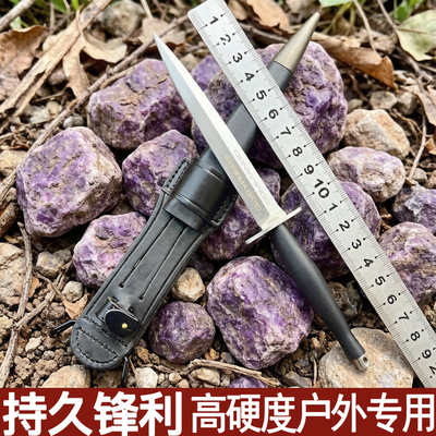 鲱鱼战术刀N690极武带尾洞DC53钢野外求生户外刀具便携小刀瓜果刀