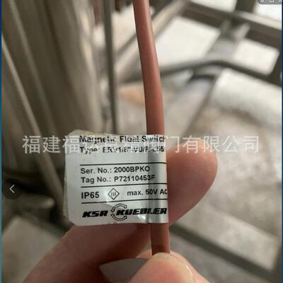 KSRKUEBLER/柯普乐液位变送器液位计P72110453F