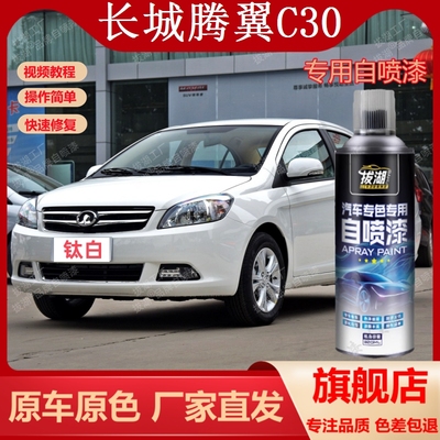【腾翼C30】专用汽车划痕补漆笔