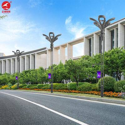 智路灯led玉兰灯多功能带监控屏示户外ROM路慧灯市政道路照显明灯