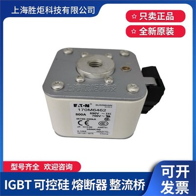 现货熔断器保险丝 170M6464/6459/6460/6E461/6462/6463/6465/646