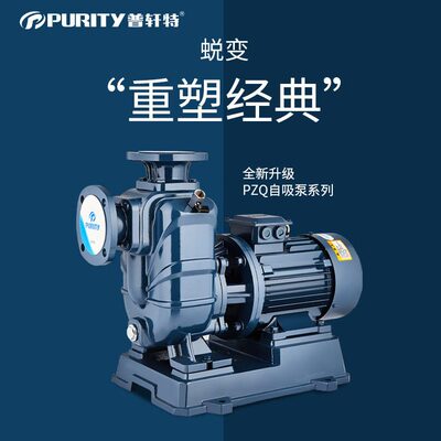 普轩特新品PZQ自吸清水离心泵直联式压泵农用灌溉工业抽水泵
