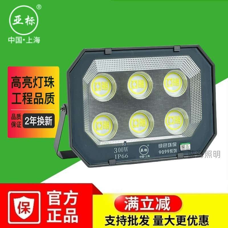 亚标照明户外防水50W100W200W泛光灯广告招牌射灯室外LED 投光灯