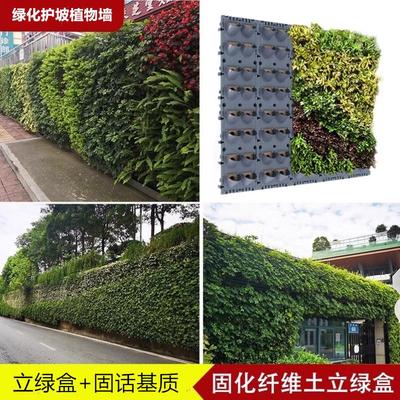 绿物墙花盆种植盒垂直立体绿化护坡植物墙垒土固化纤维土种植模块