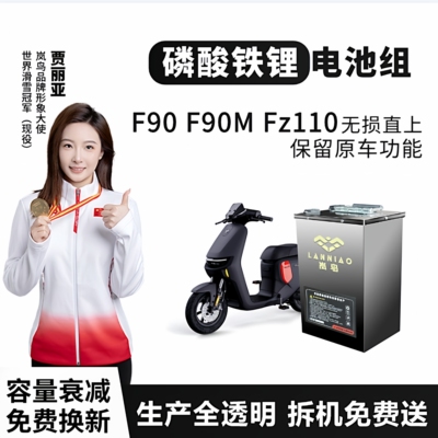 九号电动车F系列磷酸铁锂电池