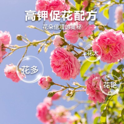 德沃多快速开花粉三角梅开花专用肥盆栽花卉植物冒花爆花催花肥料