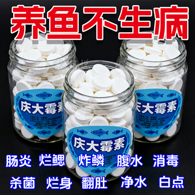 庆大霉素鱼病专用药烂身烂尾白点白毛掉磷蒙眼杀菌消炎康复消毒药