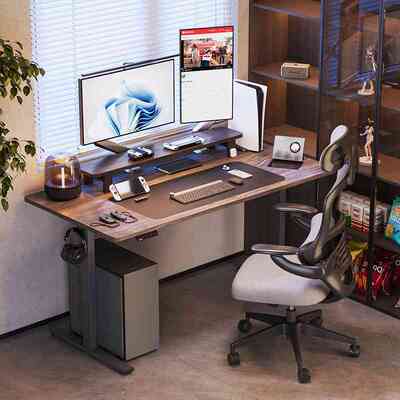 乐歌E2/E2S电动升降桌坐站交替小户型经济款办公桌电脑桌书桌升降