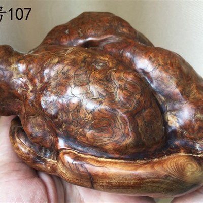 精品崖柏原木打磨料 太行陈化老料 红骨坨瘤疤瘤化根雕手把件