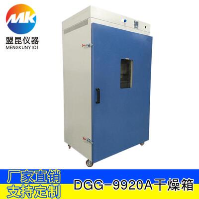 DGG-9920A干燥箱立式电热恒温鼓风干燥箱电热烘箱