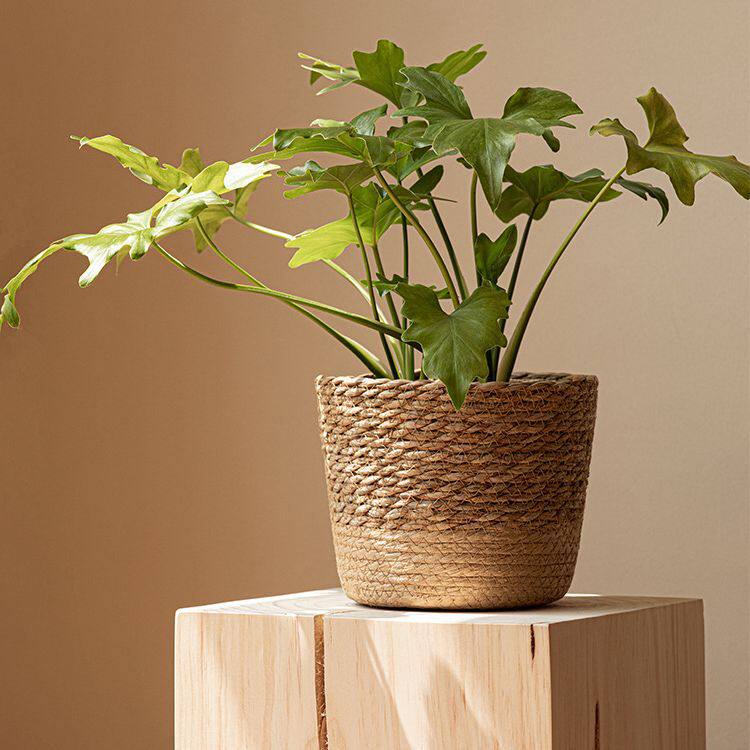 简约编织藤编花盆天然海草植物绿植套盆家居装饰收纳筐花器花篮