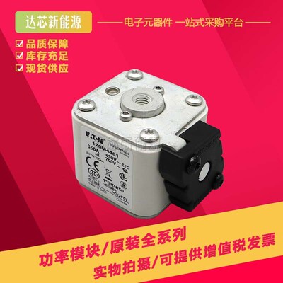 170M4464 170M4465 170M4466 170M4467 170M4468 170M4469熔断器