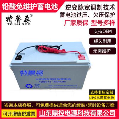 鲁太阳能电特森T酸LS100-12太阳能铅蓄电池12V100AH带引线PUS可选