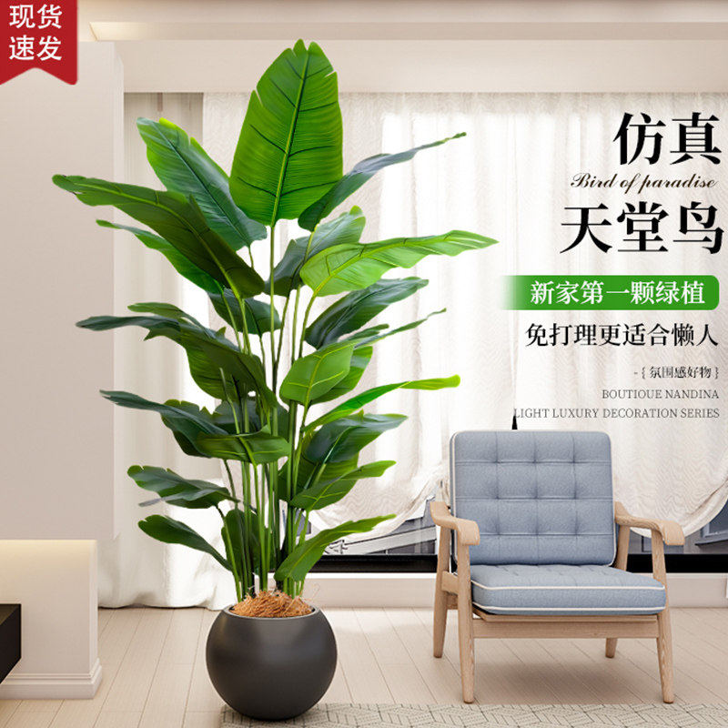 彷真绿色植物天堂鸟室内高端造景盆栽轻奢客厅大型落地摆件设彷生