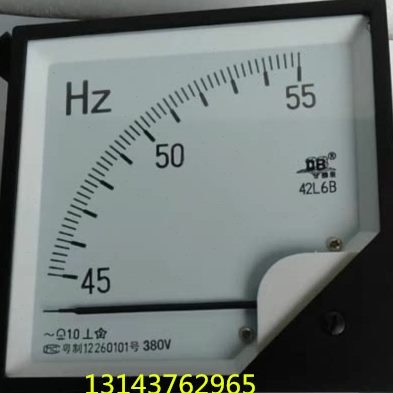 DB德表 交流频率表 42L6B-45-55HZ 380V 220V 100V 广东德庆电表