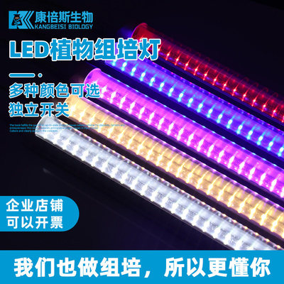 组培专用灯彷太阳led植物