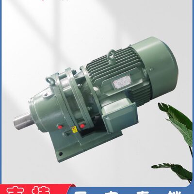 摆线针轮减速机BWDW0-WD.011B1255K12--WD-111255.B摆线减速机