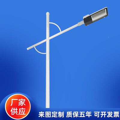LED市电单臂户LGV路灯 米农村外5米67米杆子 超亮大d功率工程le路