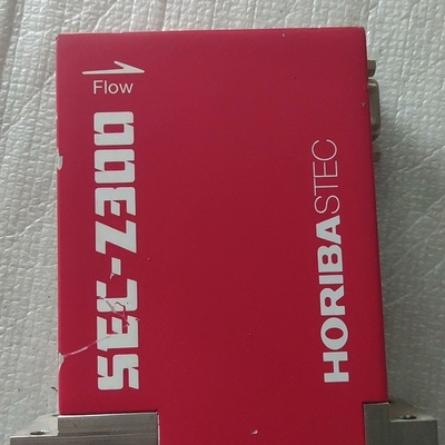 HORIBA STEC SEC-Z313M 1000SCCM