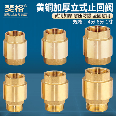 黄铜加厚立式弹簧止回阀止水阀门