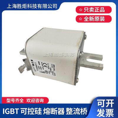 Bussmann美国170M8557D/170M8610/170M8637 8638 8639全新现货