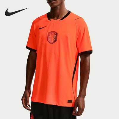 Nike/耐克官方正品Aero-FIT男士轻盈透气运动弹性T恤IB5910-809