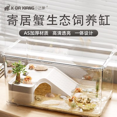 寄居蟹饲养箱套装小型桌面带爬台躲避屋相守螃蟹养殖箱乌龟饲养缸