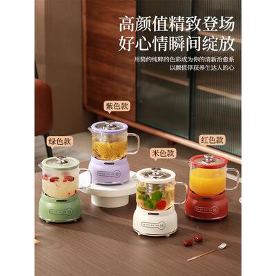 生电壶煮茶炉办HNS-10室小型一养人mini迷你电小茶壶陶炉烧水壶煮