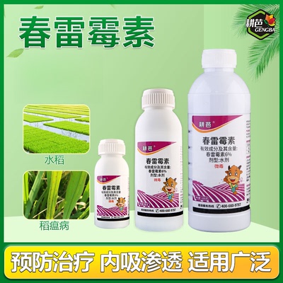 耕芭春雷霉素枯萎角斑杀菌剂