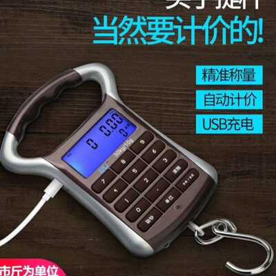 cnw手提秤充电计价秤快递秤钓鱼称弹簧称买菜秤卖菜秤台秤电子秤