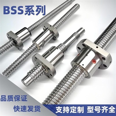 BSS BSSE BSX 1002 1004 1010-[100-450/1]导程4/10精密滚珠丝杠