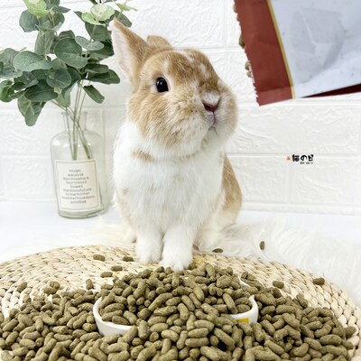 乐兔司全价成兔粮主食Lepus布格斯配方饲料低油美毛补钙适口性好