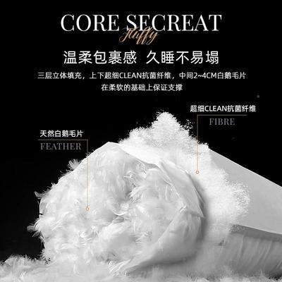 斯防得福双人长亲枕头羽绒枕芯酒ZT6555店长款情侣一体子长加条枕