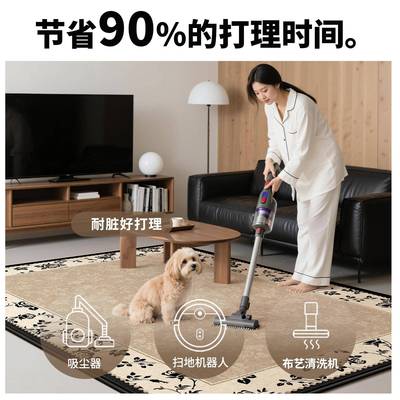 地毯客厅中风xlx-sfyr202新款洗复古轻奢高级感防水防污免可5擦沙