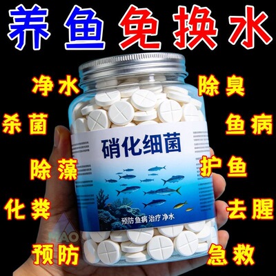 硝化细菌鱼缸用硝化菌片硝化干粉养鱼用品水立清净水剂鱼缸净水剂