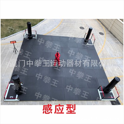 中拳王搏击基本功训练器材擒敌术基本动作连贯考核感应型