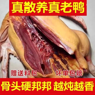 【真香鸭肉】农家散养鸭非新鲜现杀老鸭子整只麻鸭煲汤坏了包赔鸭