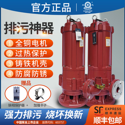 大元WQ三相国标污水污物排污泵工地化粪池无堵塞大流量污水泥浆泵