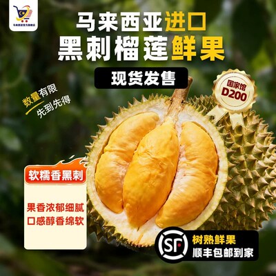【鲜果现货】马来西亚D200黑刺榴莲鲜果新鲜树熟顺丰包邮空运进口