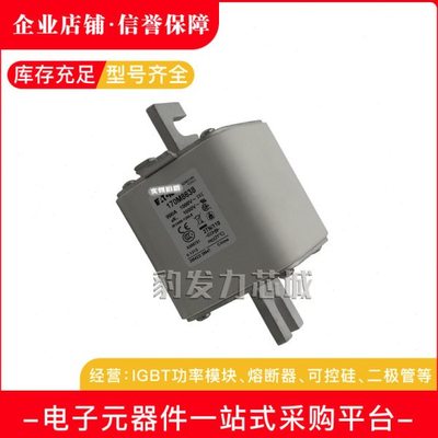 170M8648 170M8649 170M8650全新熔断器现货