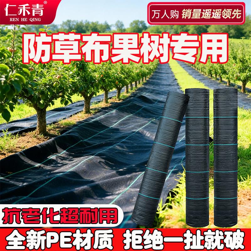 防草布果树专用新型窄丝加密PE除草布耐用果园盖草地膜农用遮草布
