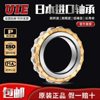 进口UIE轴承N NU NJ NUP 1008 1009 1010 1011 EC ECM ECJ ECP C3